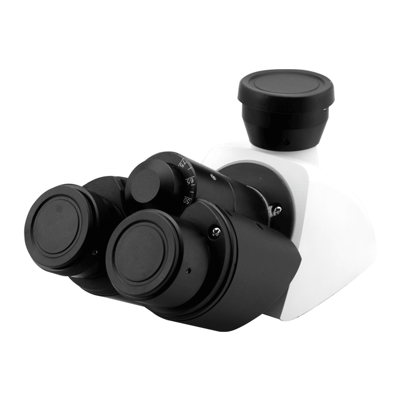 Compound Microscope Eyepiece Body Tube, Trinocular, Infinite, Eyetube ...