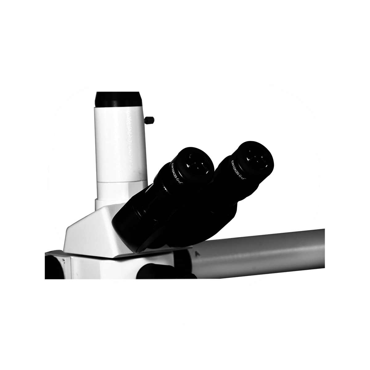 40X-1000X Five Head Multiview Teaching Biological Compound Microscope ...