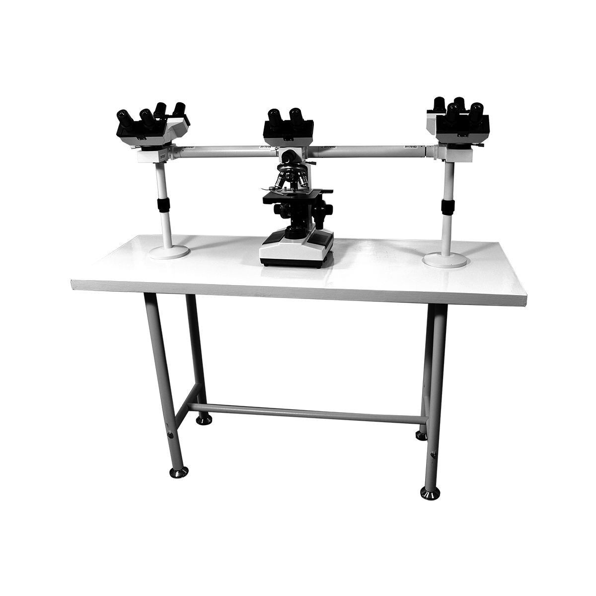 40X-1600X Five Head Multiview Teaching Compound Microscope, Binocular ...