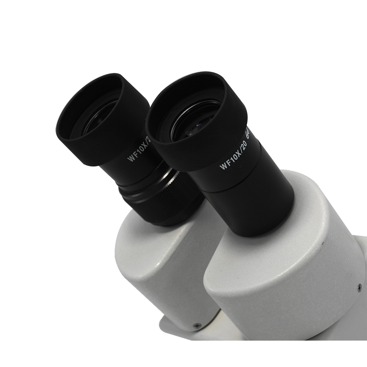 10X/30X Widefield Stereo Microscope, Binocular, Post Stand (Height ...
