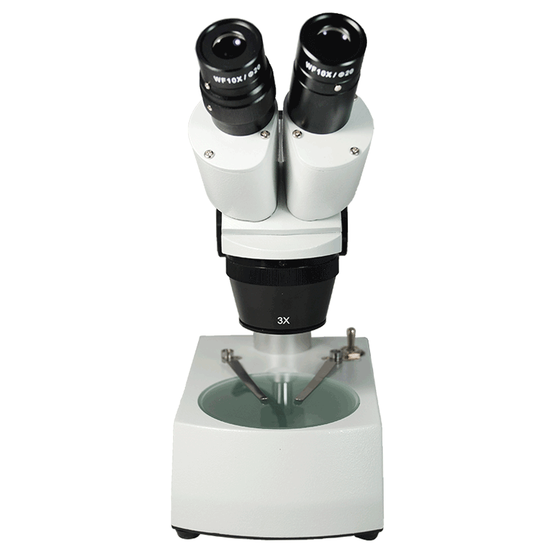 10X & 30X Widefield Student Binocular Stereo Microscope Top & Bottom ...