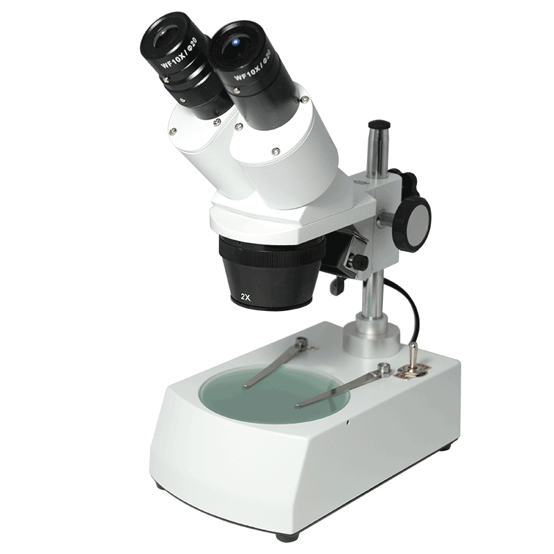 20X/40X Widefield Forward Binocular Stereo Microscope Dual Light Post ...