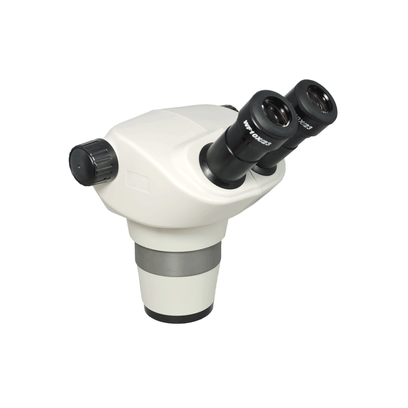 6-50X Zoom Stereo Microscope Head, Binocular, Field of View 23mm ...