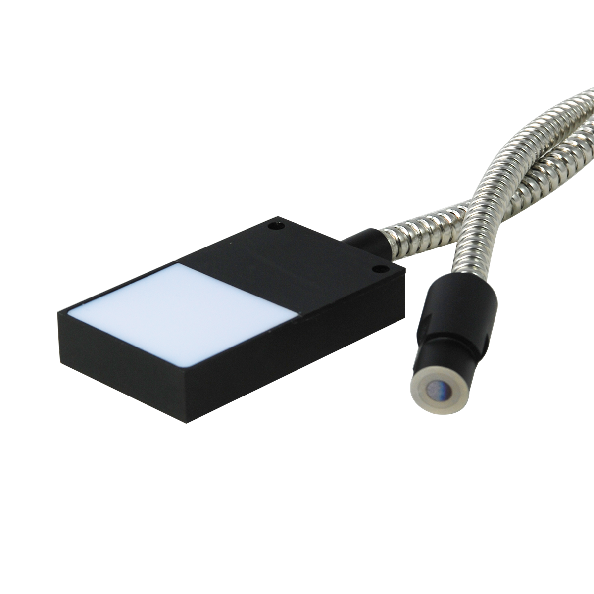 Microscope Back Light 2x2 inch with Fiber Optic Illuminator Light Guide ...