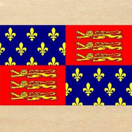 Flag of King Henry VIII Indoor Outdoor Flag