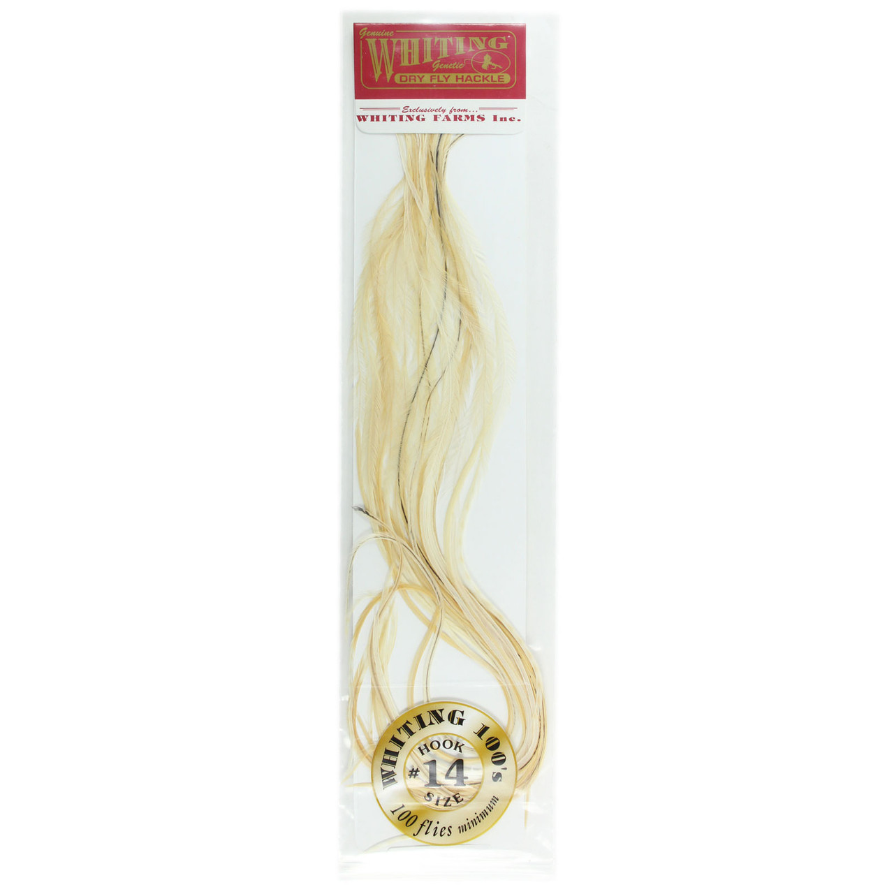 Whiting Farms 100 Packs - AvidMax