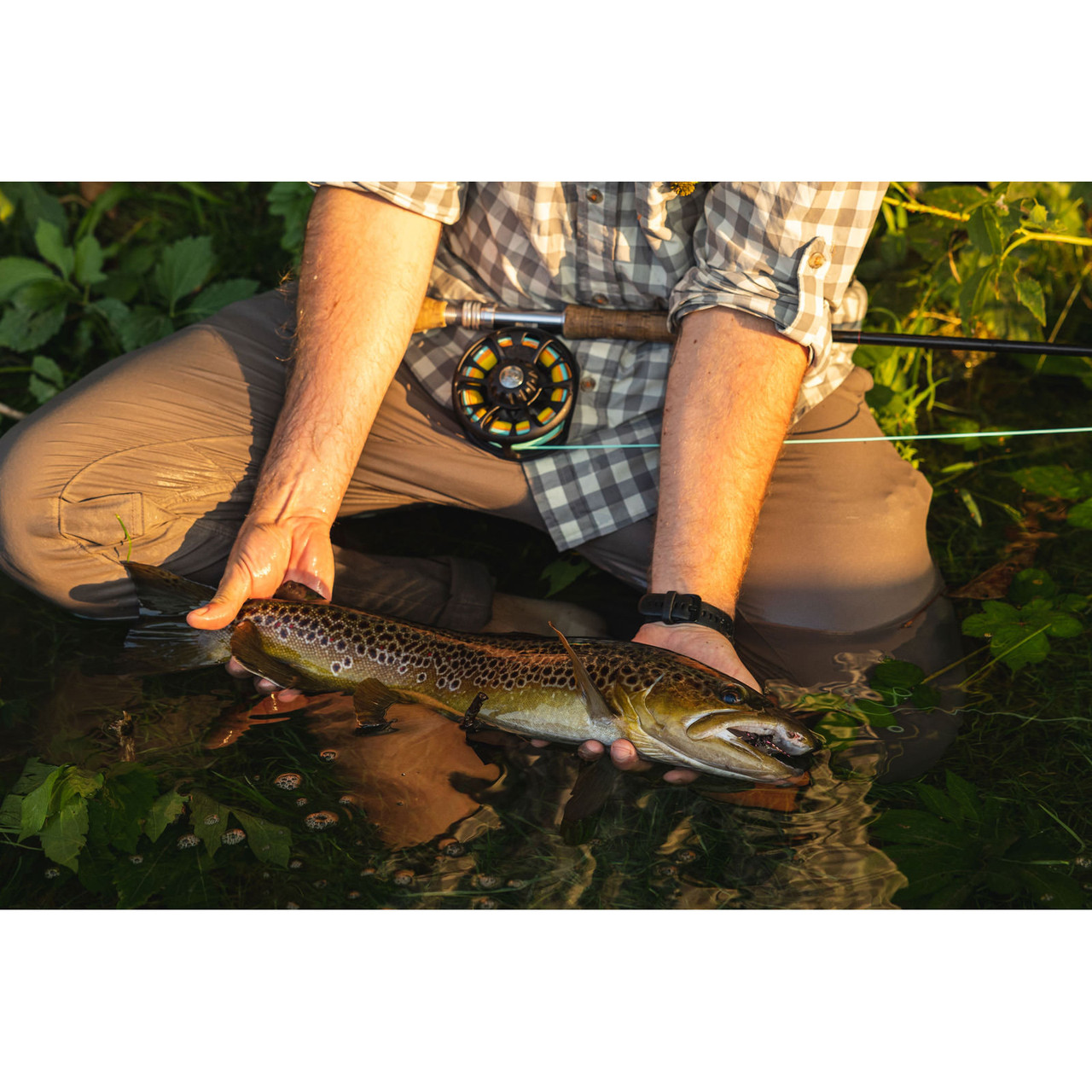 Ross Reels Evolution FS Fly Reel - AvidMax