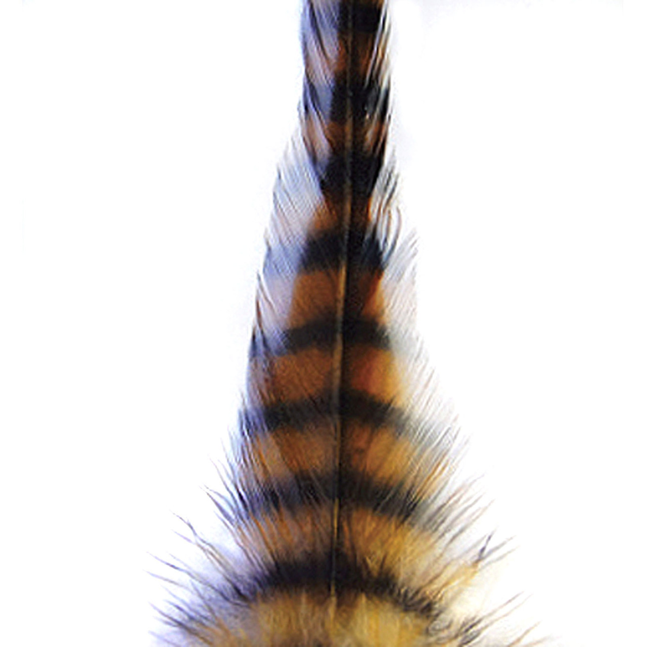 MFC Barred Saddle Hackle - AvidMax