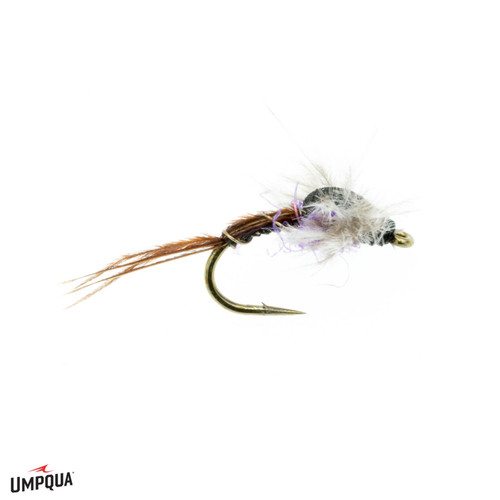 Macgruber Jackson Fly Purple - AvidMax