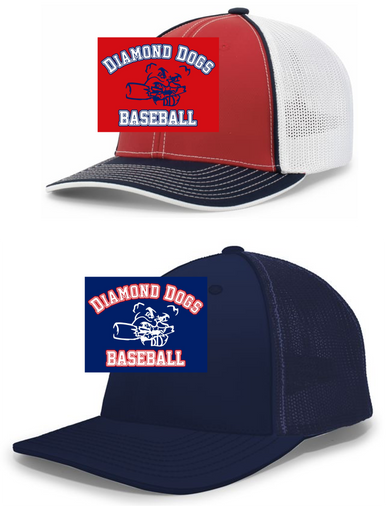 SHORT SLEEVE COTTON SOFTSTYLE T-SHIRT (ADULT AND YOUTH)