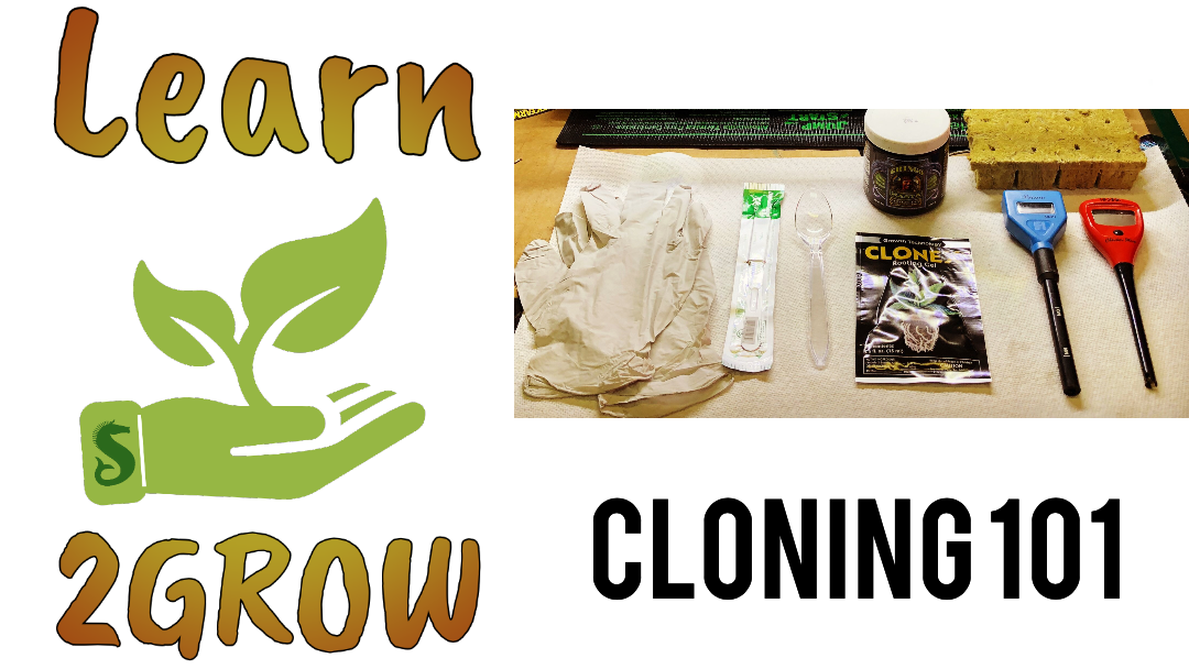Learn 2GROW Series: Propagation 101, Topic: Cloning - Shore Grow
