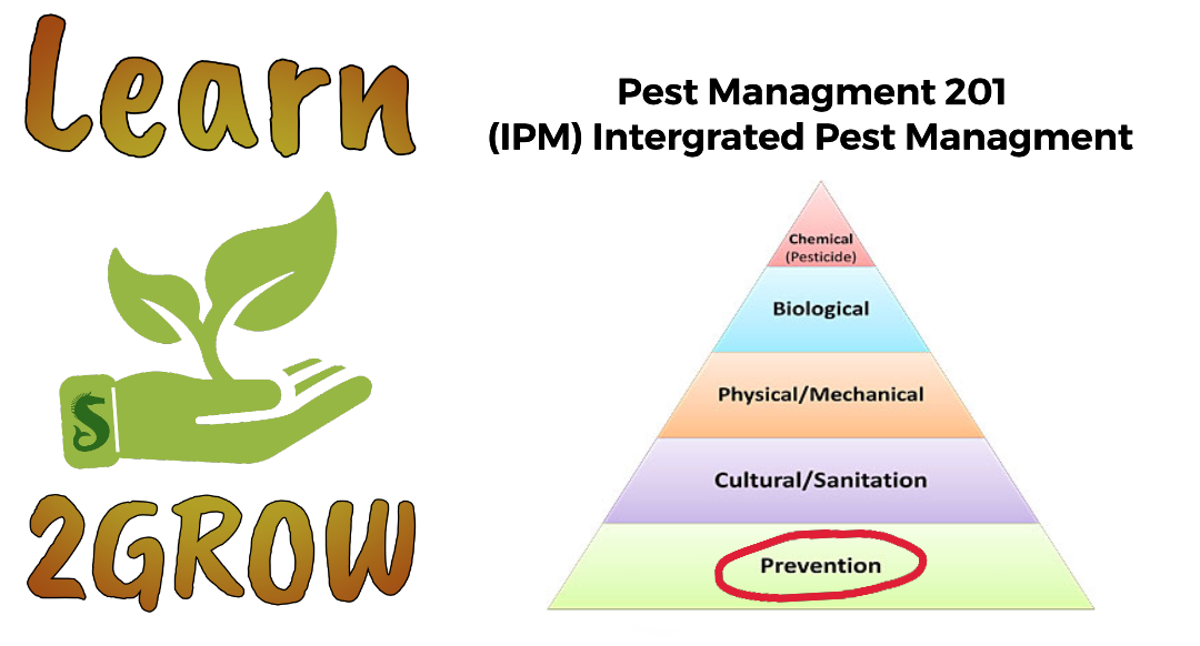 Learn 2GROW Series: Integrated Pest Management 201, Topic: Preventative ...