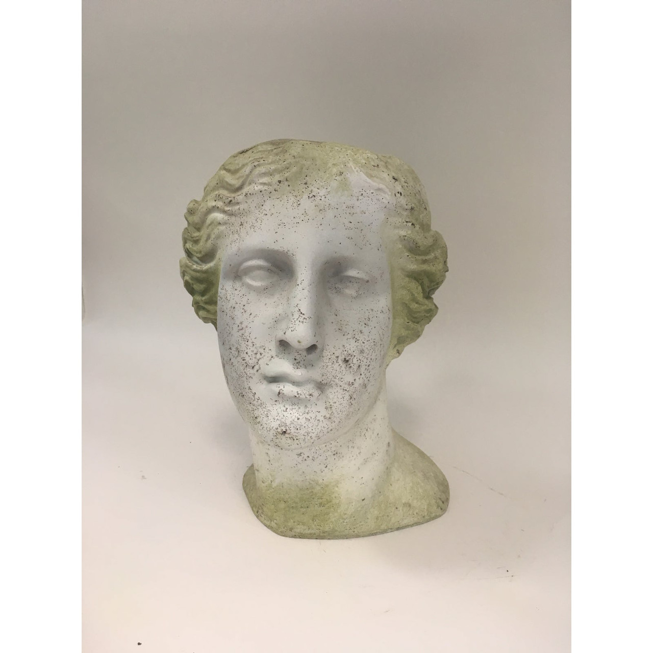 Moss Venus Head Planter - The Silver Oyster