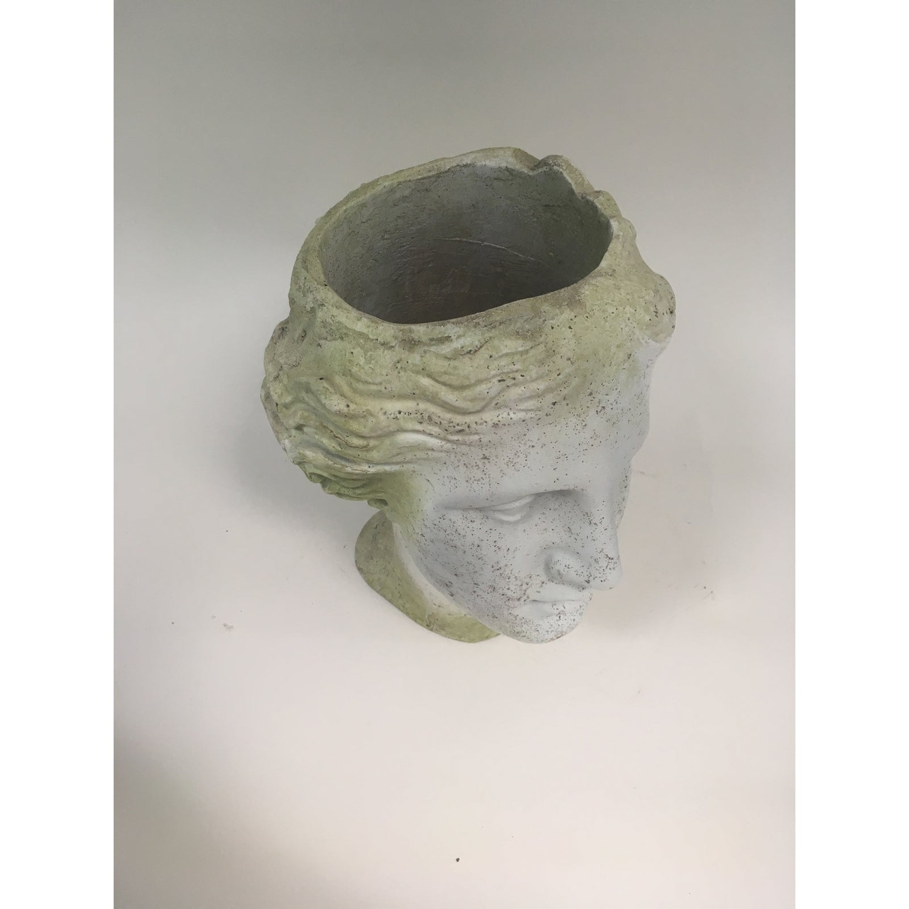 Moss Venus Head Planter - The Silver Oyster