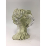 Moss Venus Head Planter - The Silver Oyster