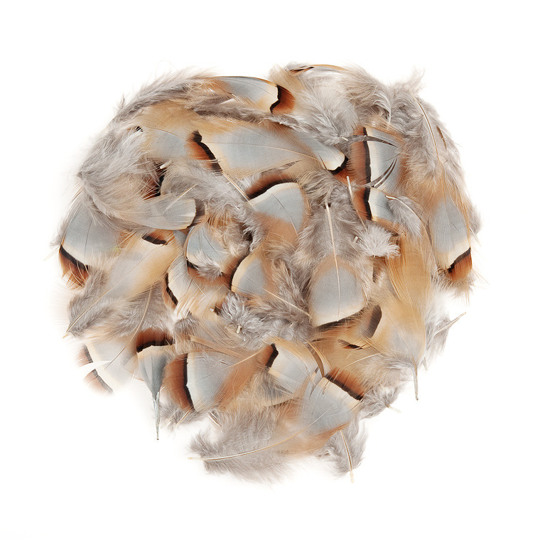 CHUKAR/RED LEGGED PARTRIDGE - Fly Angler Distributing Inc
