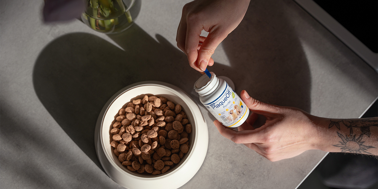 Improve your Dog Dental Care with products from ProDen PlaqueOff ...