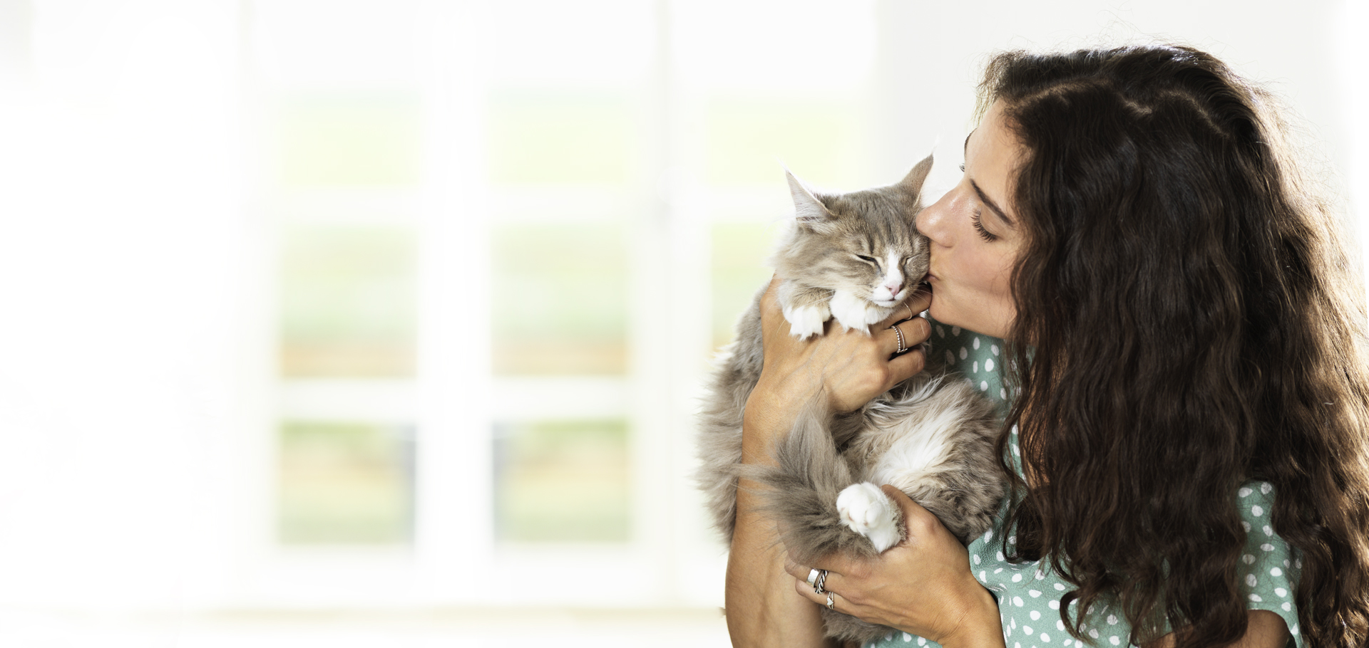 The Hidden Dangers of Untreated Plaque and Dental Disease in Cats ...