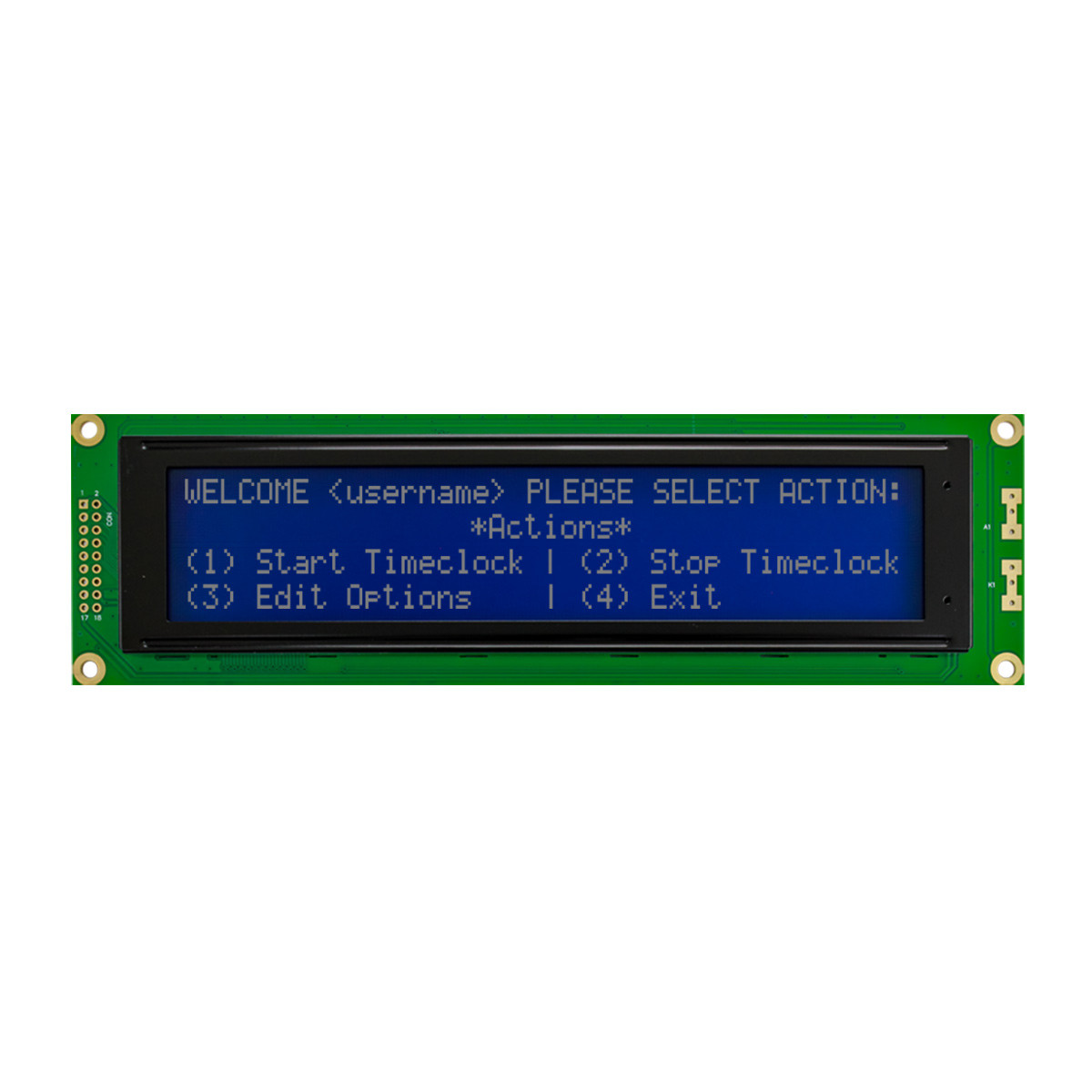 40x4 Character LCD | STN- Blue Display with White Backlight