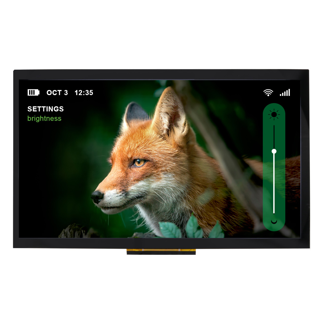 10 1 Inch Ips Capacitive Tft Lcd With Lvds Interface