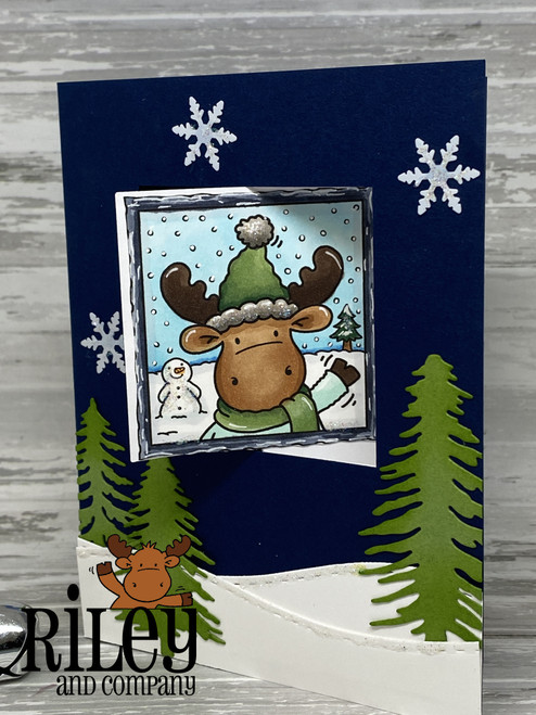 Cool Kits - Riley & Company