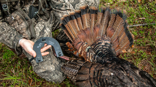 Turkey Tool - Bone Collector