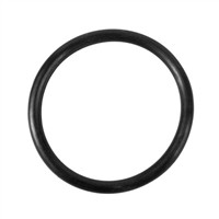 O-RING AT VENT SCREW FOR RP350, RP400 OR RP600-L FILTER SYSTEMS ...