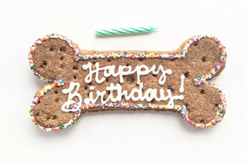 Birthday Bone with Writing and Candle - Woofables Retail