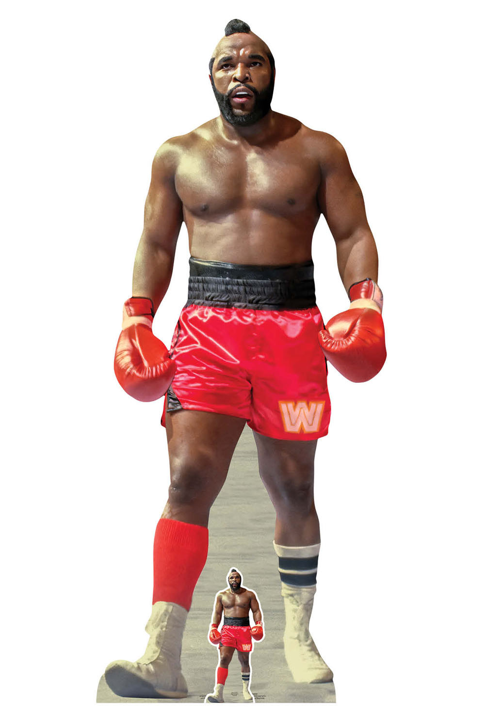 Mr. T Official WWE Lifesize Cardboard Cutout / Standup / Standee