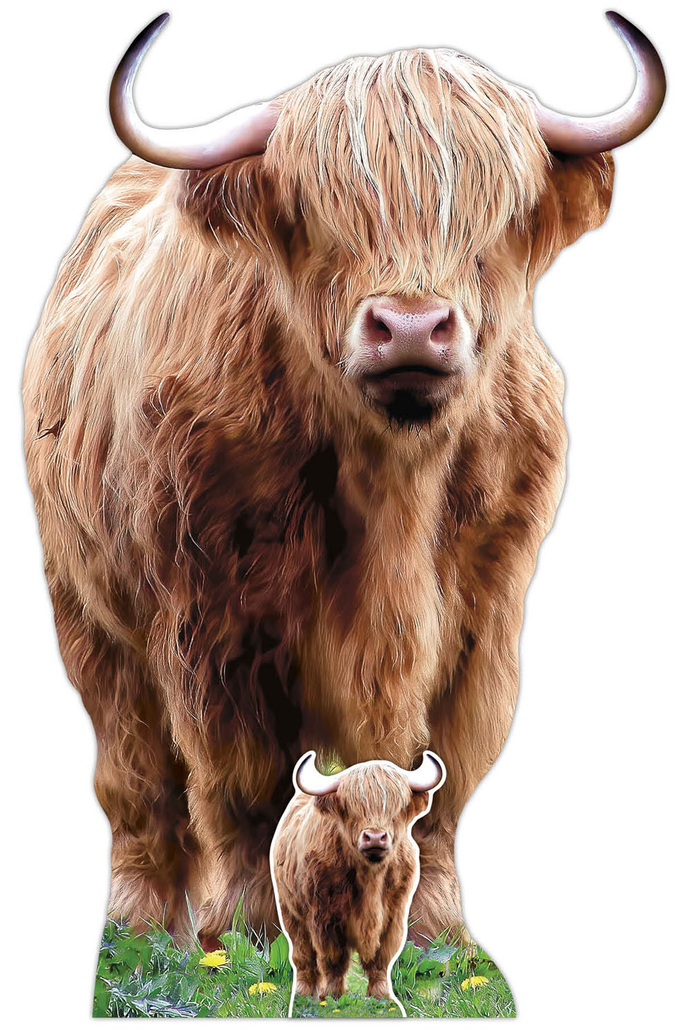 Scottish Highland Cow Cardboard Cutout Standee