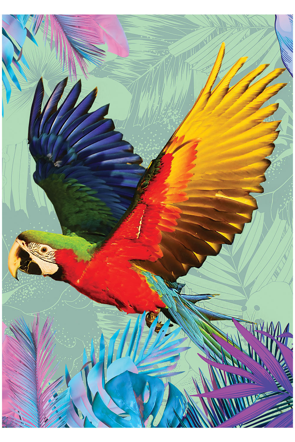 Tropical Birds Mixed Selection Double Sided Posters 6 Pack