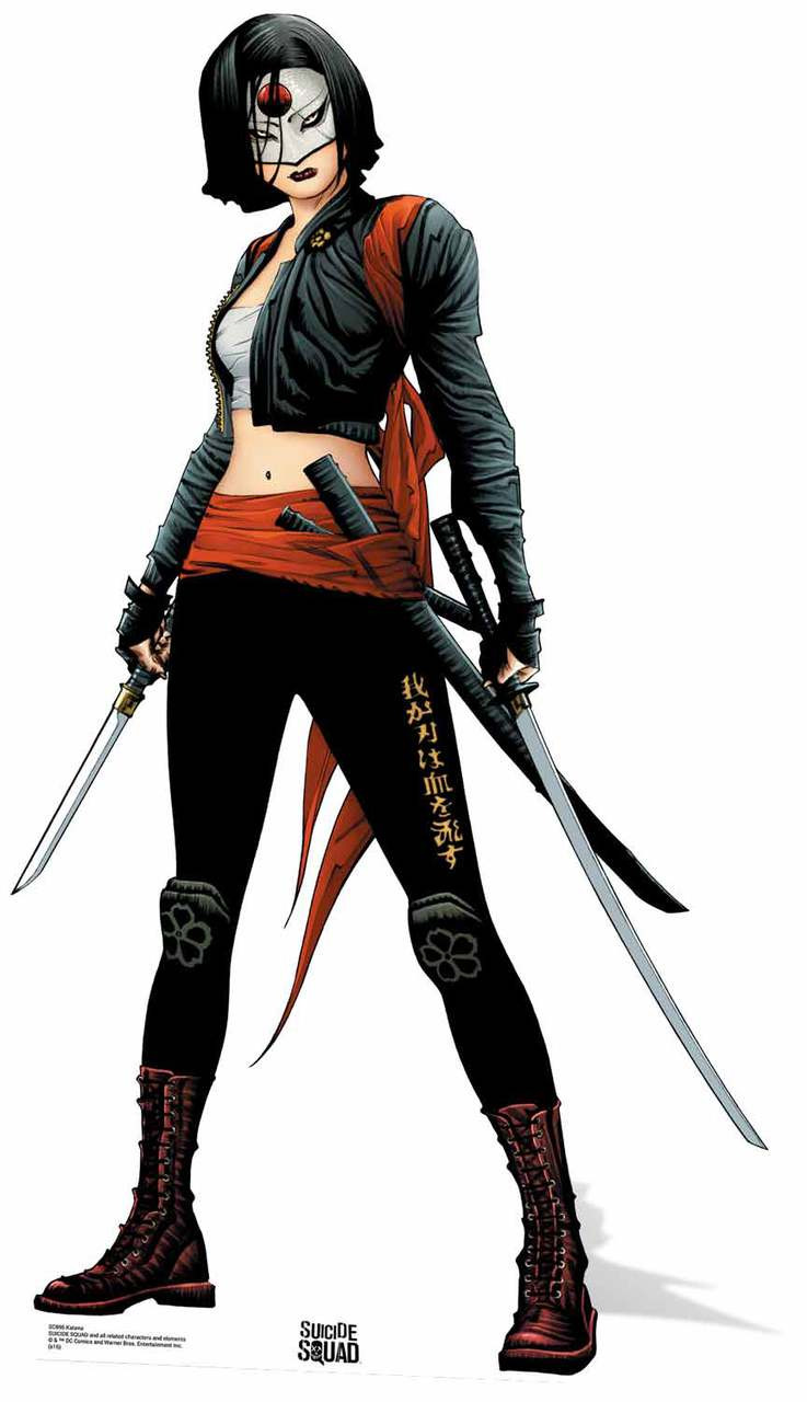 Katana Zelfmoordploeg Stripkunst Levensgrote Kartonnen Uitsnede ...
