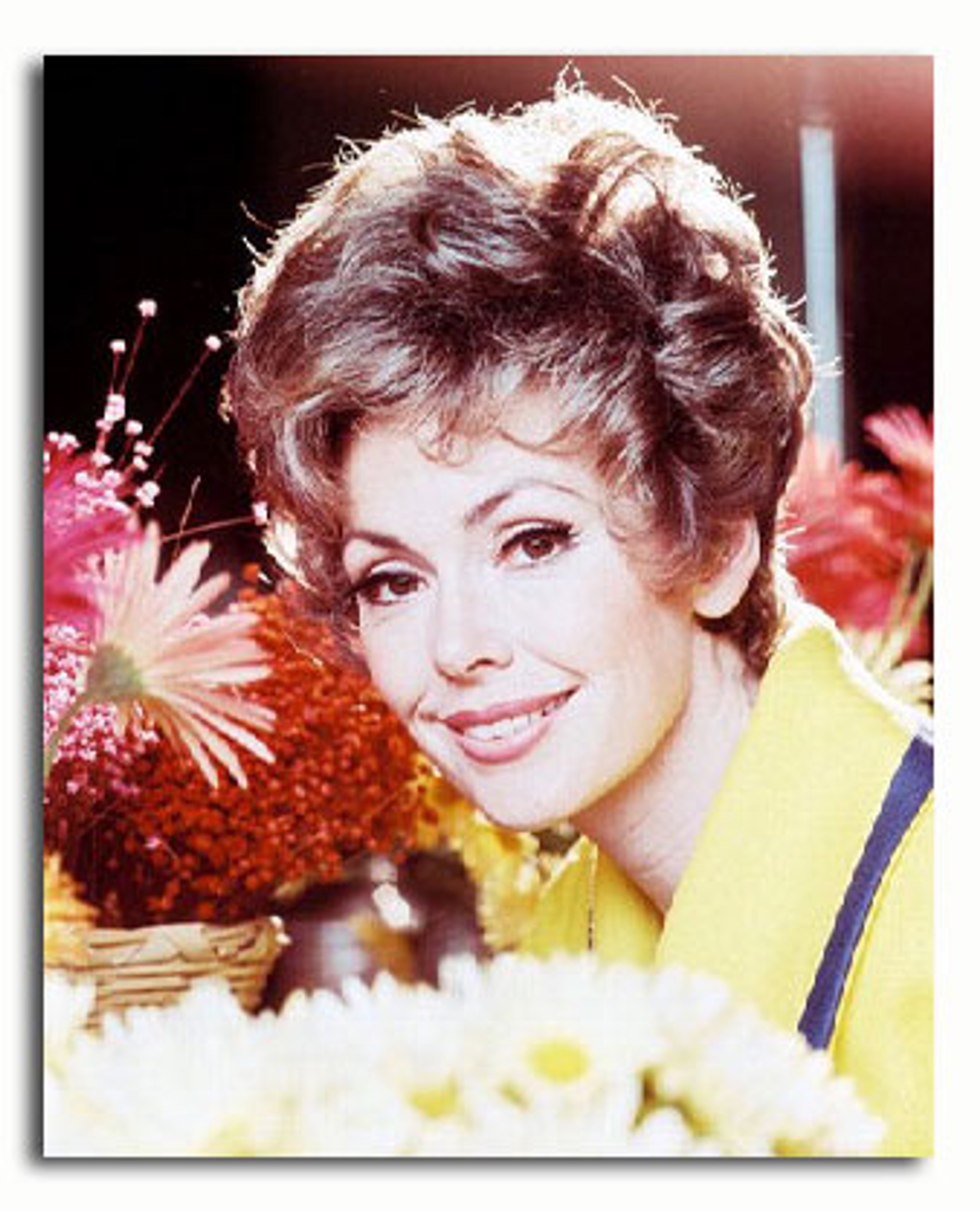 Ss2282241 Movie Picture Of Barbara Rush Buy Celebrity Photos And Posters At