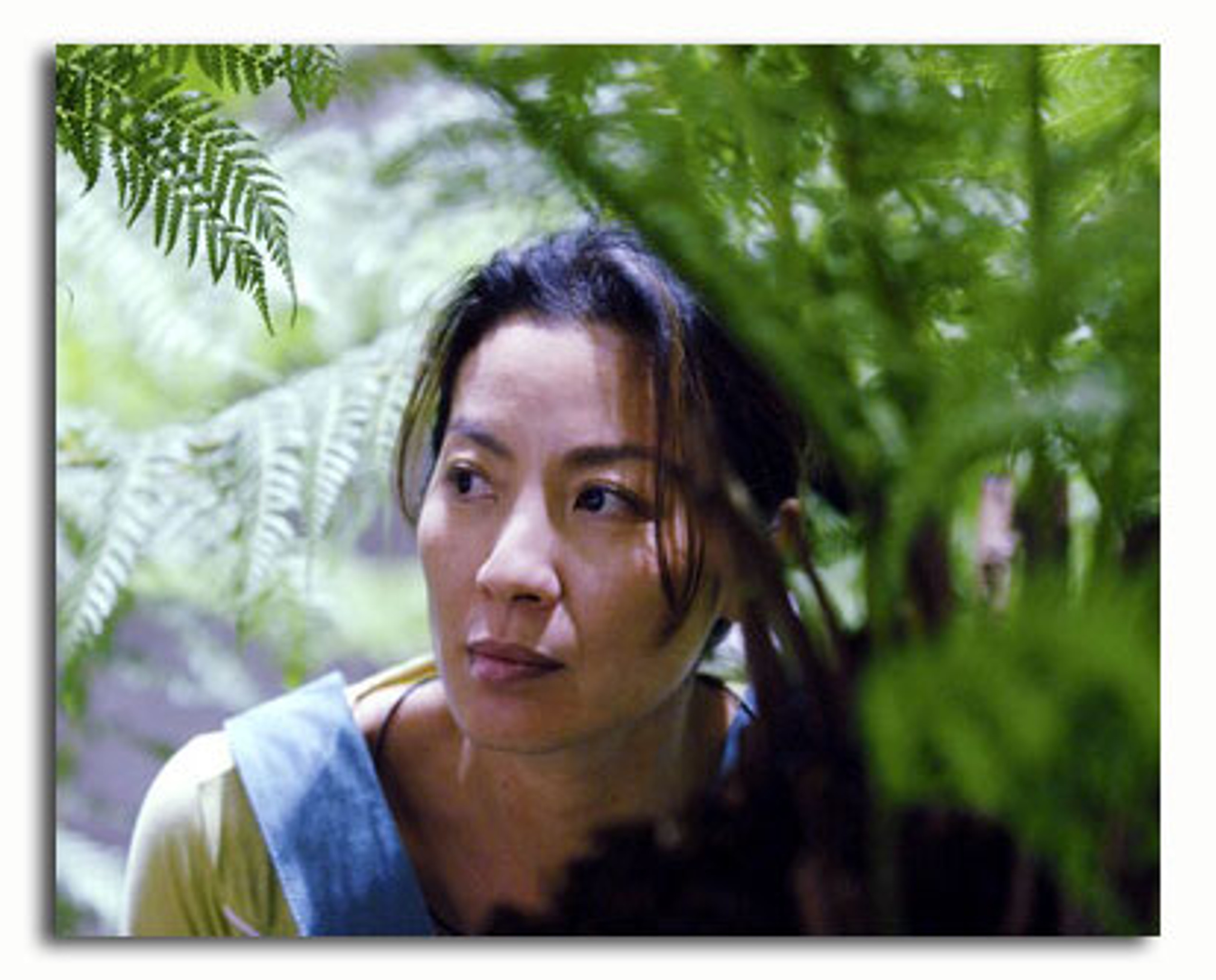 (SS3219086) Movie picture of Michelle Yeoh buy celebrity photos and ... (SS3219086) Movie picture of Michelle Yeoh buy celebrity photos and ...