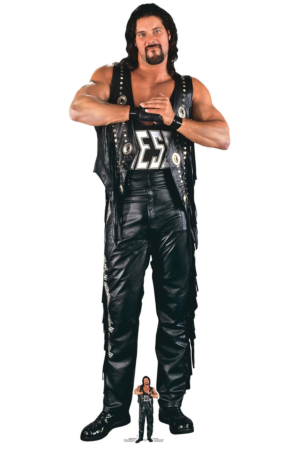Diesel WWE Officiel Lifesize Carton Découpe/Standup/Standee
