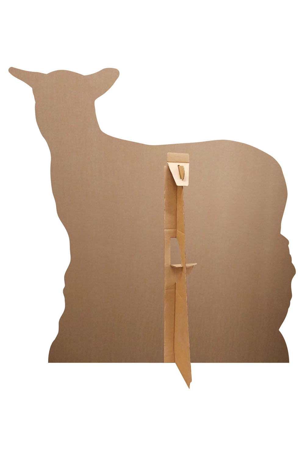 Rooooooaar!!! We offer lifesize cardboard cutouts of animals wild and tame