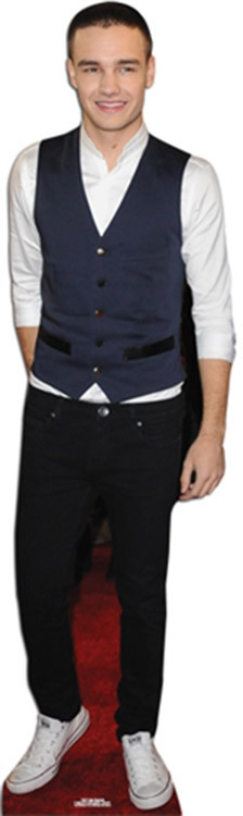 Niall Horan From One Direction Lifesize Cardboard Cutout. Buy celebrity ...