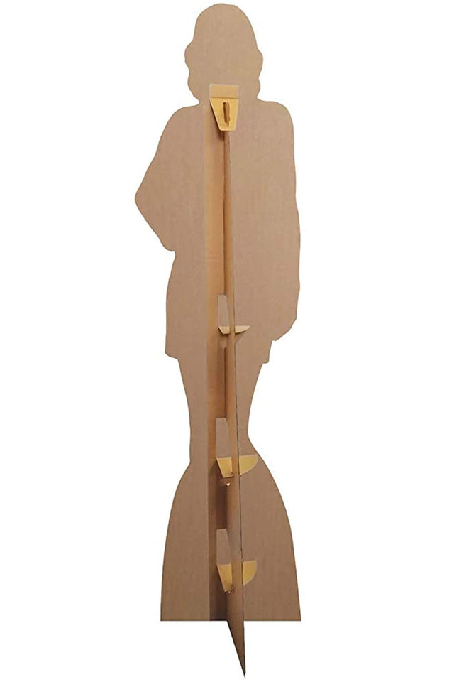 Taylor On Stage Singing Lifesize Cardboard Cutout / Standee