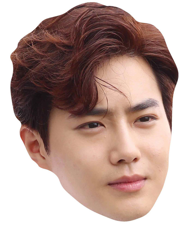 Chen from Exo 2D Card Party Face Mask