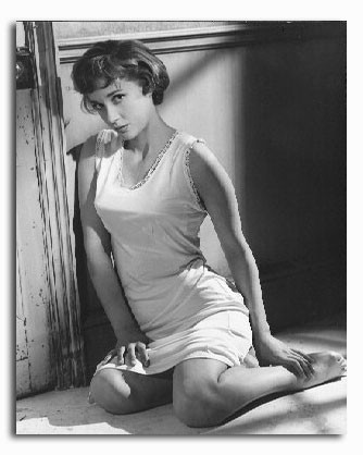(SS2236650) Movie picture of Sylvia Syms buy celebrity photos and ...