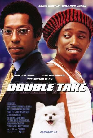 (SS6514651) DOUBLE TAKE (DOUBLE SIDED Regular) POSTER buy movie posters ...