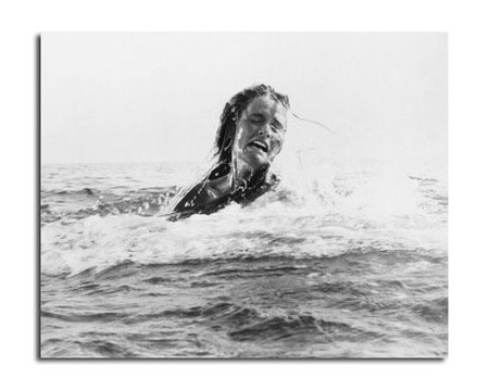 Movie Picture of Jaws buy celebrity photos and posters at Starstills ...