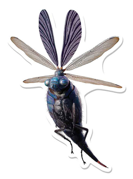 Billywigg from Fantastic Beasts and Where to Find Them 3D Effect ...