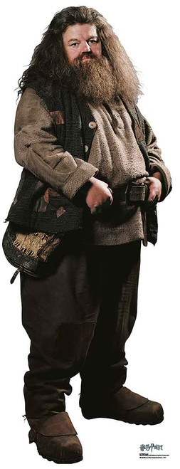 Hagrid Mini Cardboard Cutout / Standup - Official Harry Potter cutout