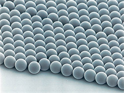 MBL Life Sciences Products - Cosmo Bio USA