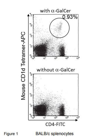 Mouse CD1d Tetramer (α-GalCer loaded)-APC [Catalog No.: MBL-TS-MCG-2]