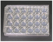 BONE RESORPTION ASSAY PLATE [Catalog No.: CSR-BRA-24P, CSR-BRA-48P, CSR ...