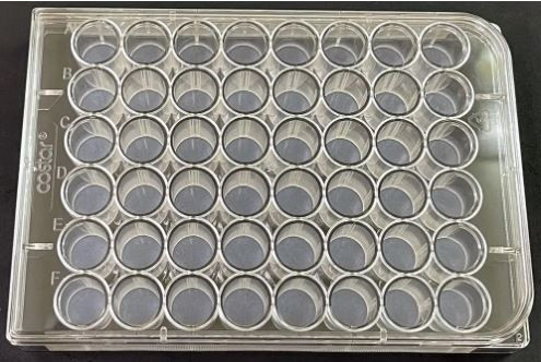 BONE RESORPTION ASSAY PLATE [Catalog No.: CSR-BRA-24P, CSR-BRA-48P, CSR ...