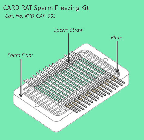 CARD Rat Freezing Kit [Catalog No.: KYD-GAR-001]