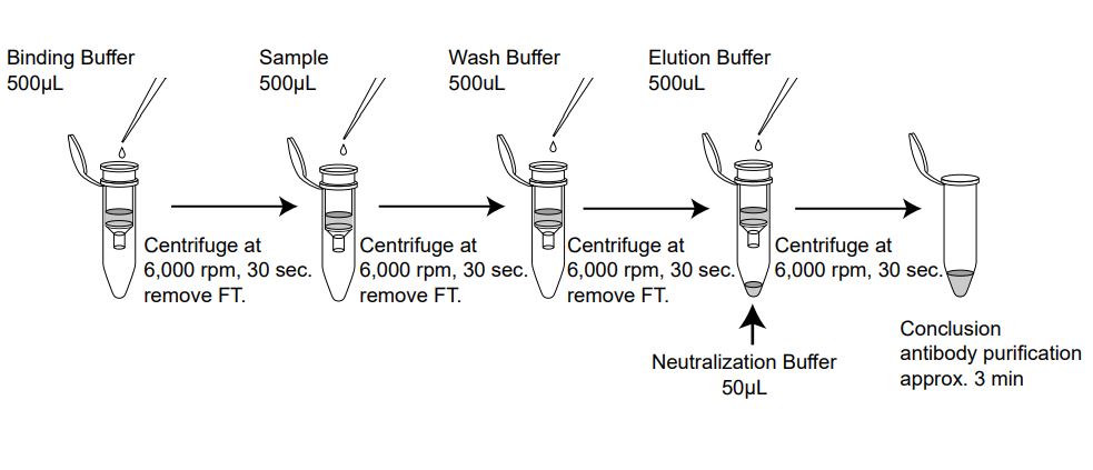 Spin column based Antibody Purification Kit (Protein G) [Catalog No ...